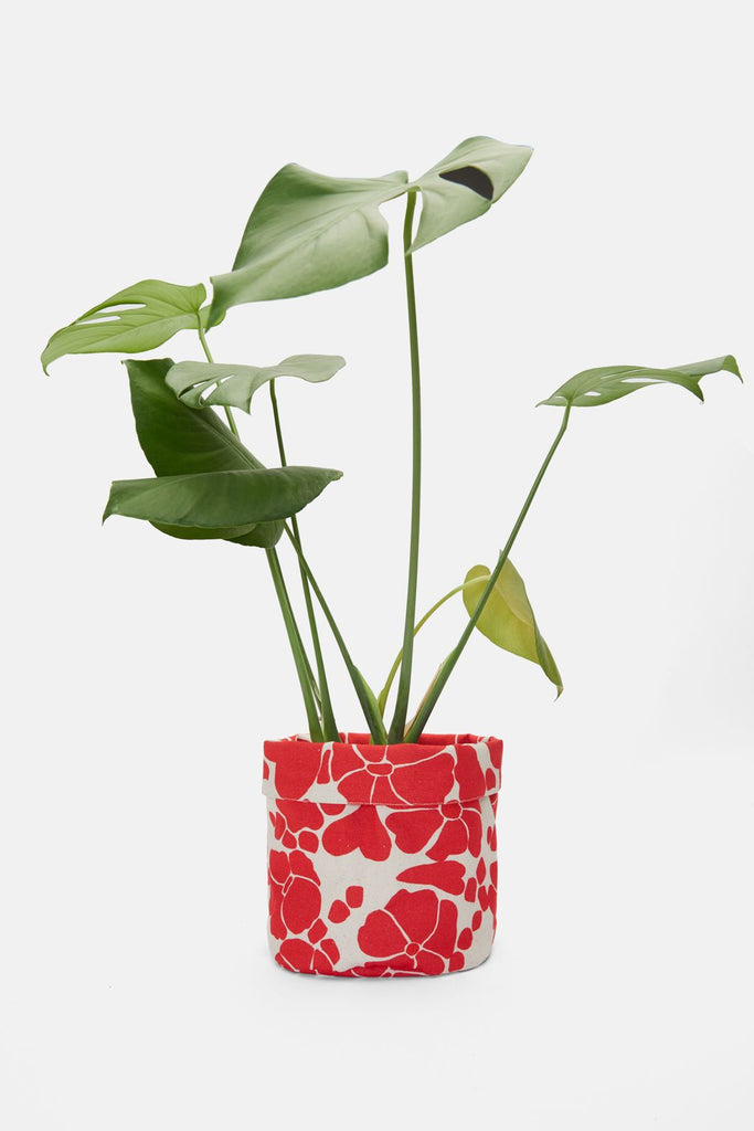 Daisy Red Planter Med – Gorman NZ