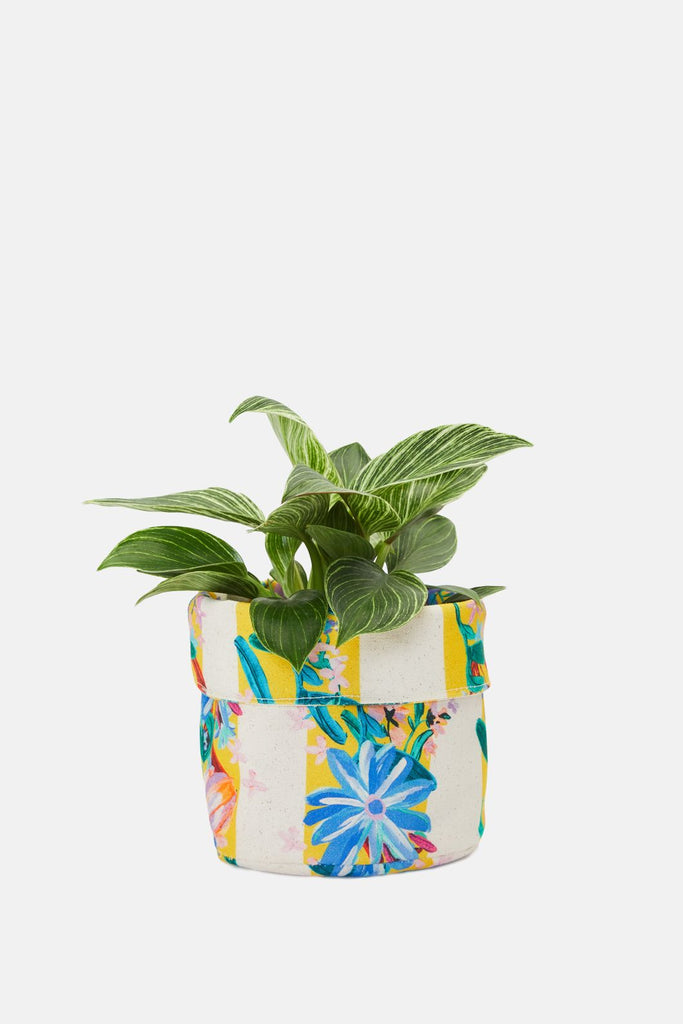 Flower Power Stripe Planter Sml – Gorman NZ